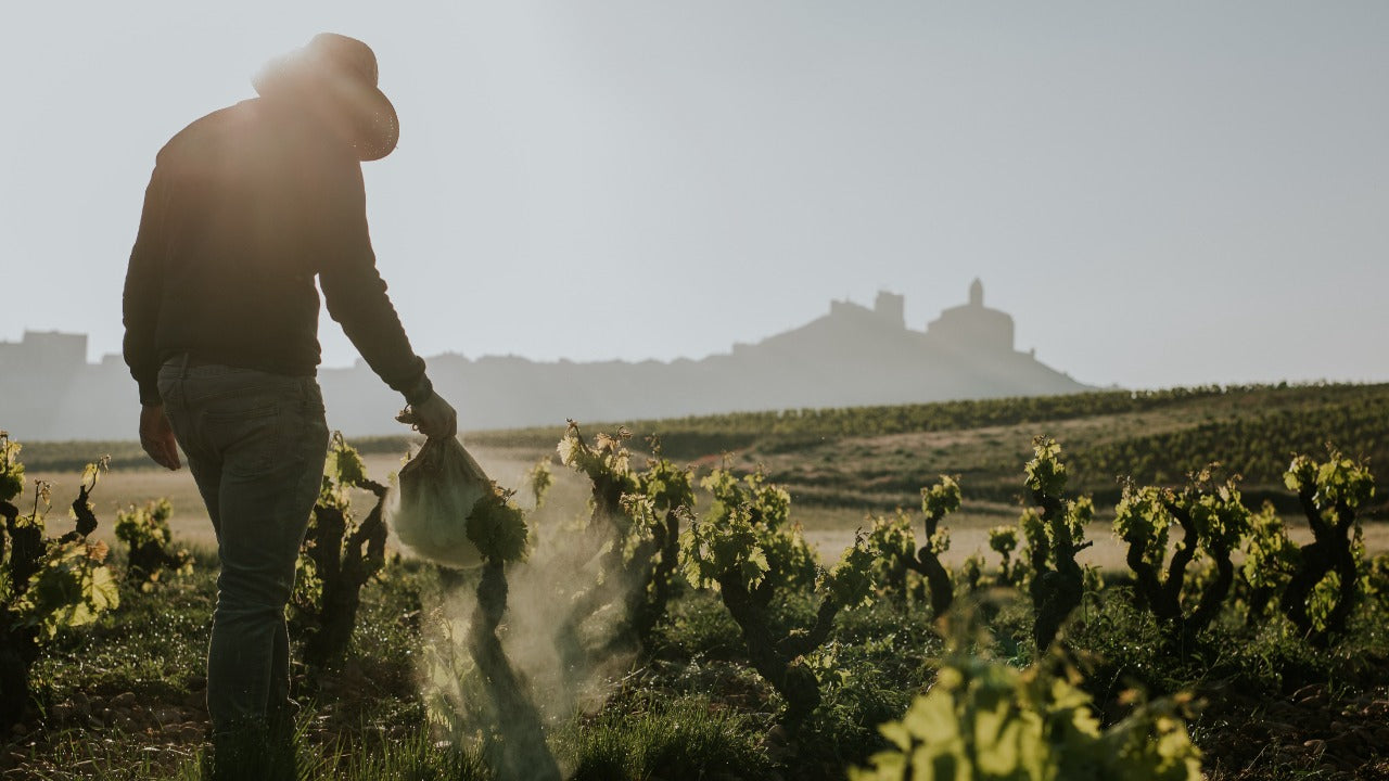 Cupani – VIDEGA IMPORTADORA